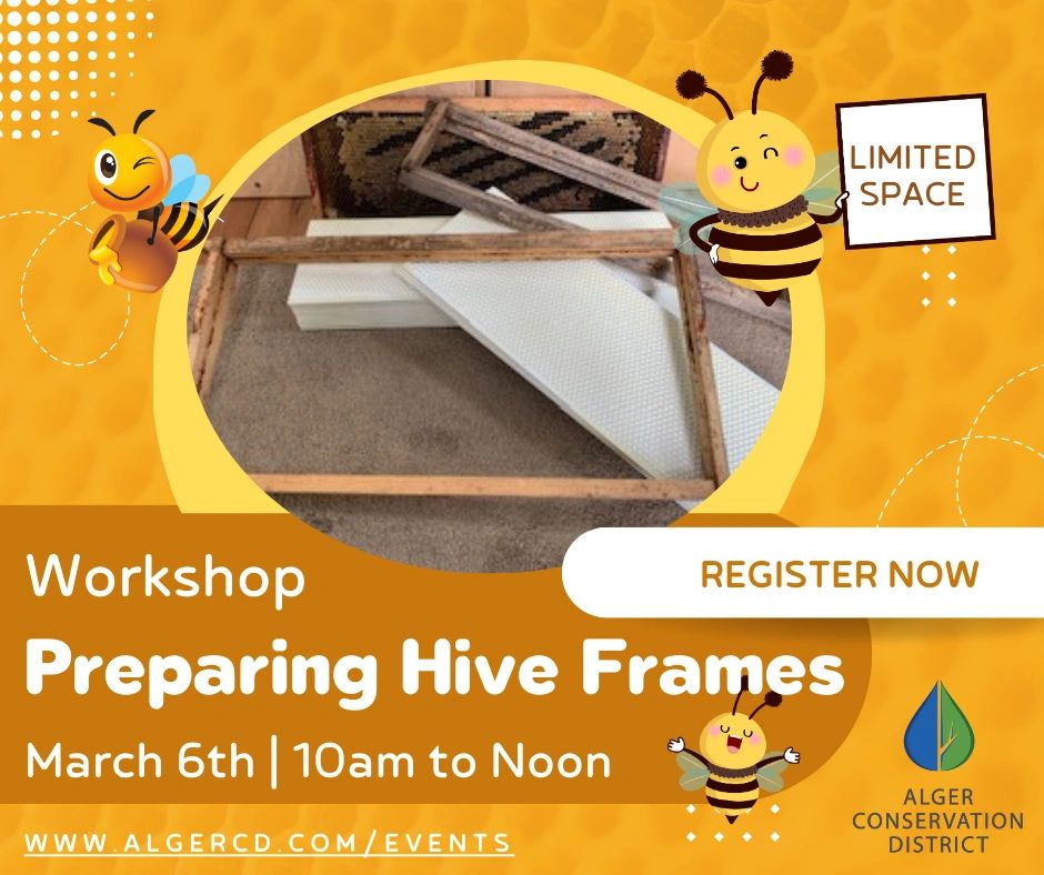 Preparing Hive Frames | Beekeeping Workshop